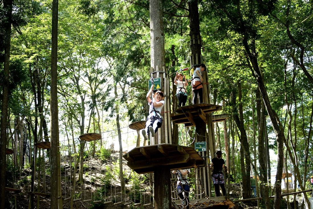 TURNS（ターンズ）｜移住・地方創生・地域活性化 treetop1 | TURNS（ターンズ）｜移住・地方創生・地域活性化