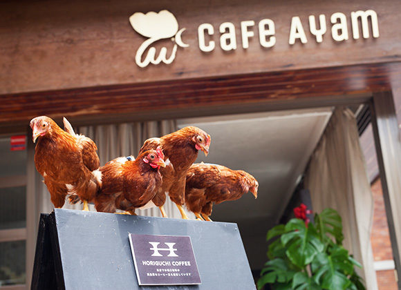 TURNS（ターンズ）｜移住・地方創生・地域活性化 top_puchi_on_the_sign | TURNS（ターンズ）｜移住・地方創生・地域活性化